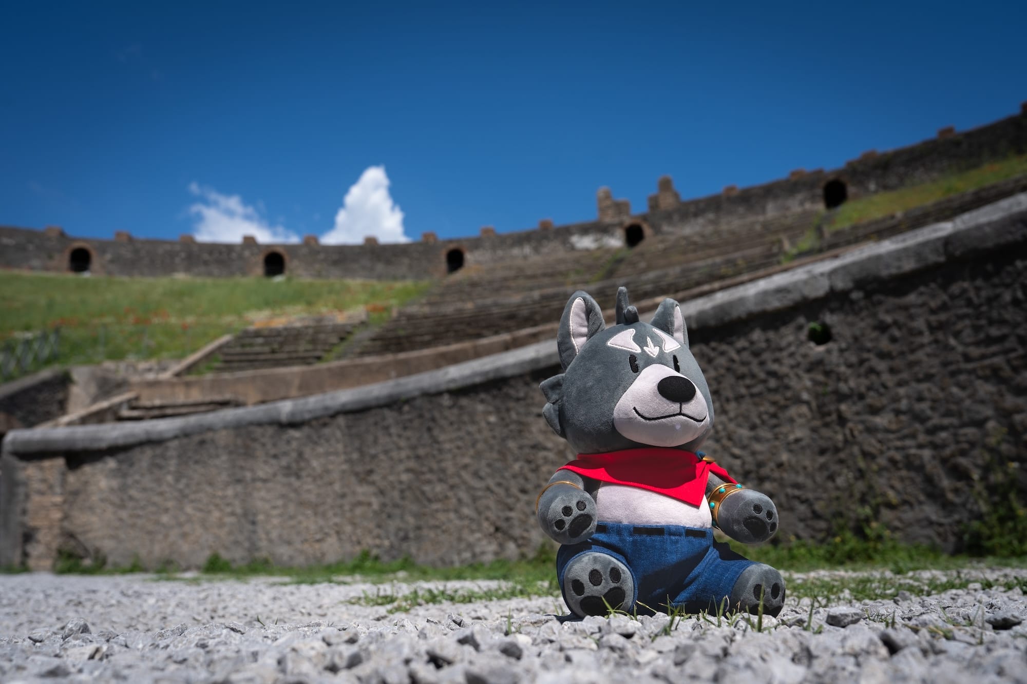 Amicus Plush - Pawprint Gallery