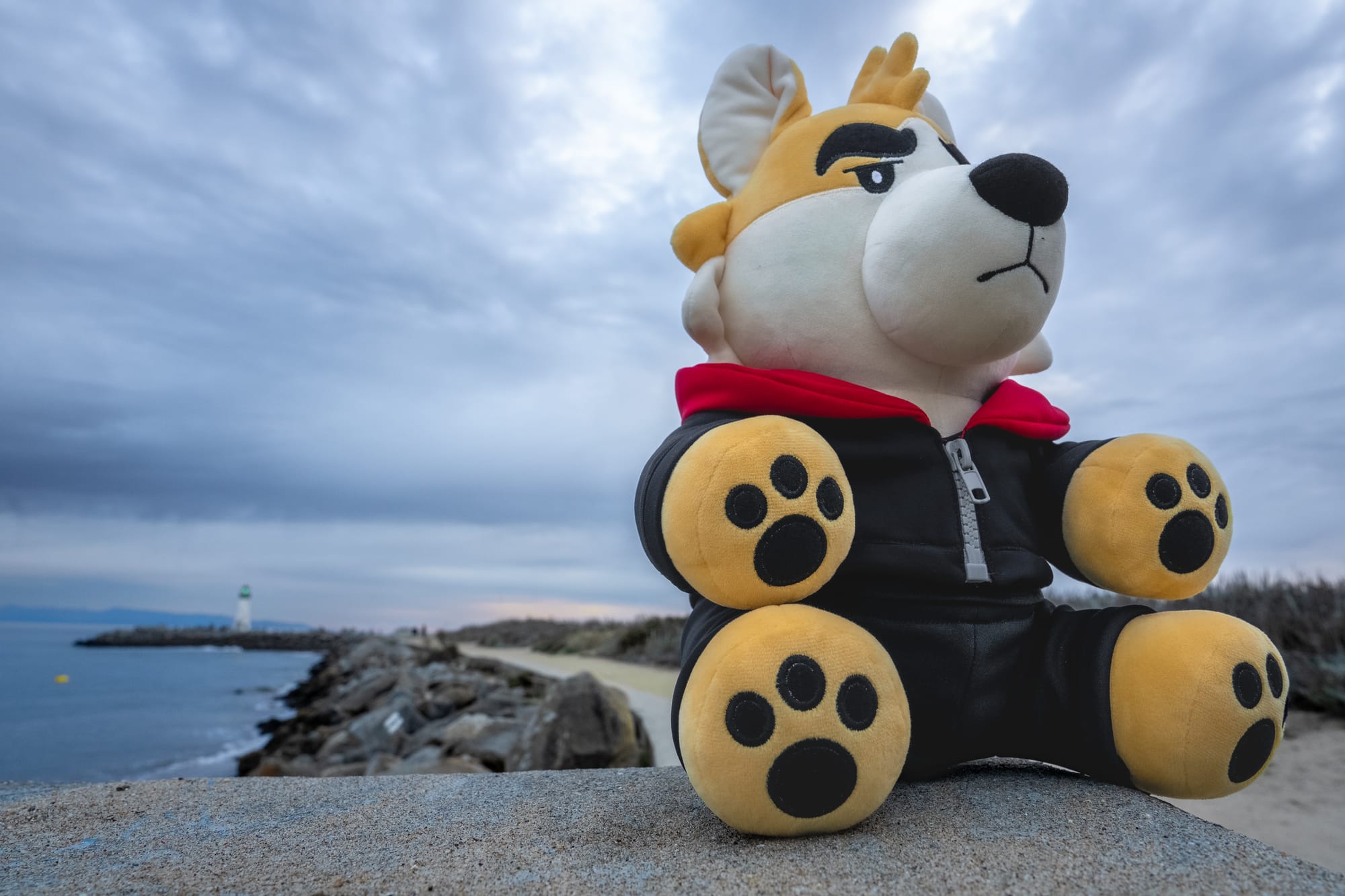 Cooper Plush - Pawprint Gallery