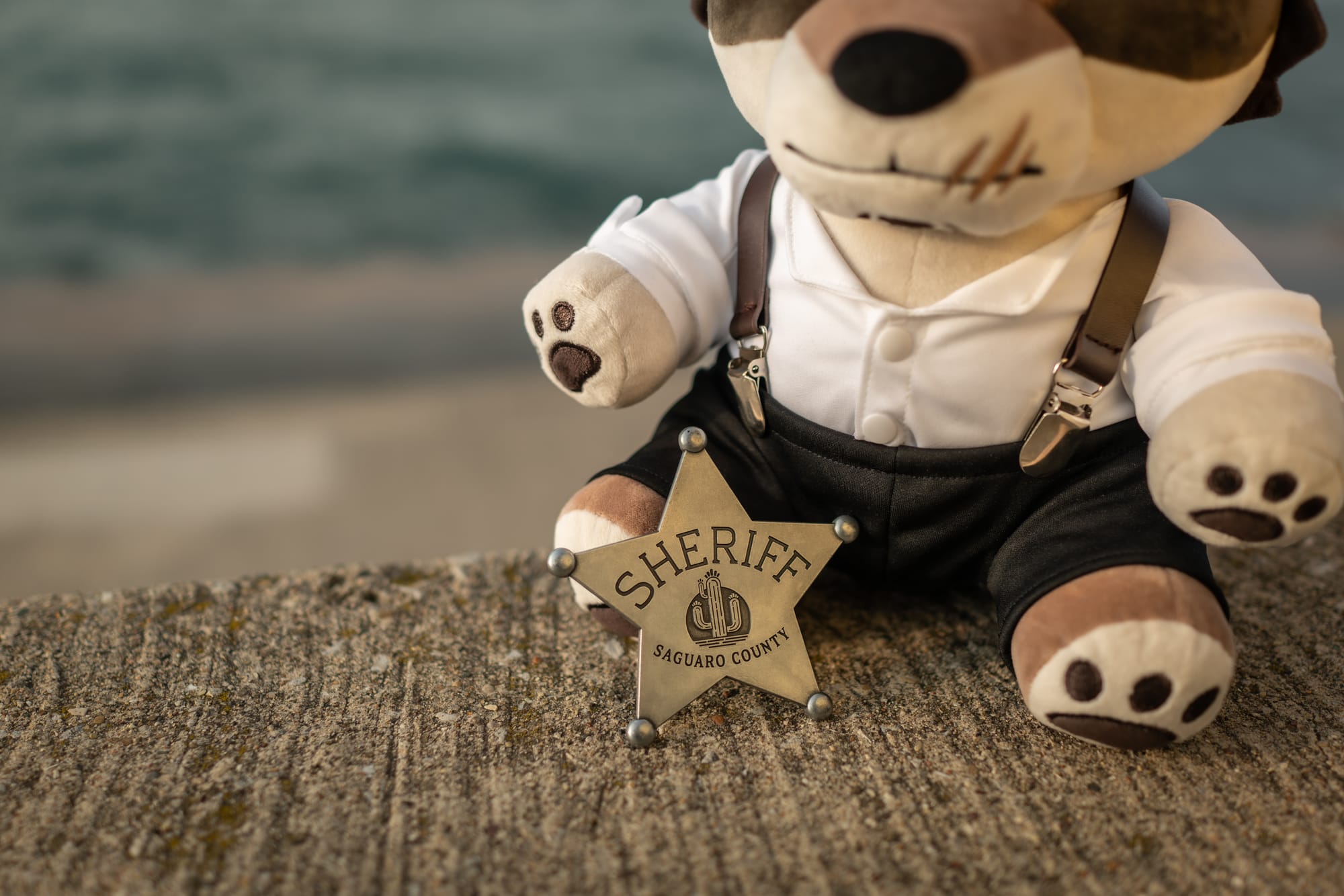 Pawprint Press Gallery